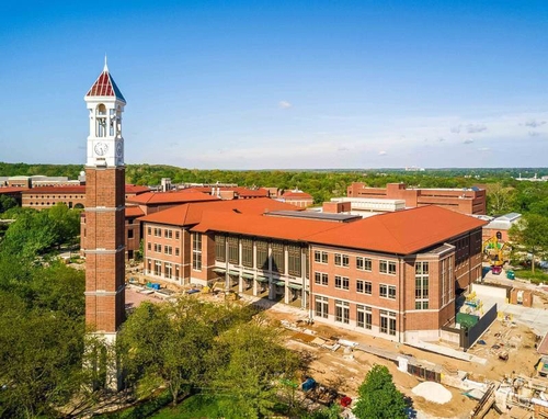 Image by Trevor Mahlmann